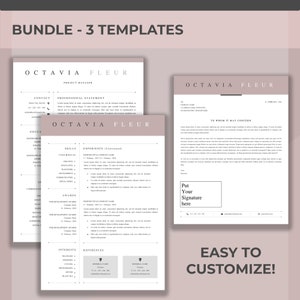 Professional Resume Template Word DOC, DOCX. CV Template Professional ...