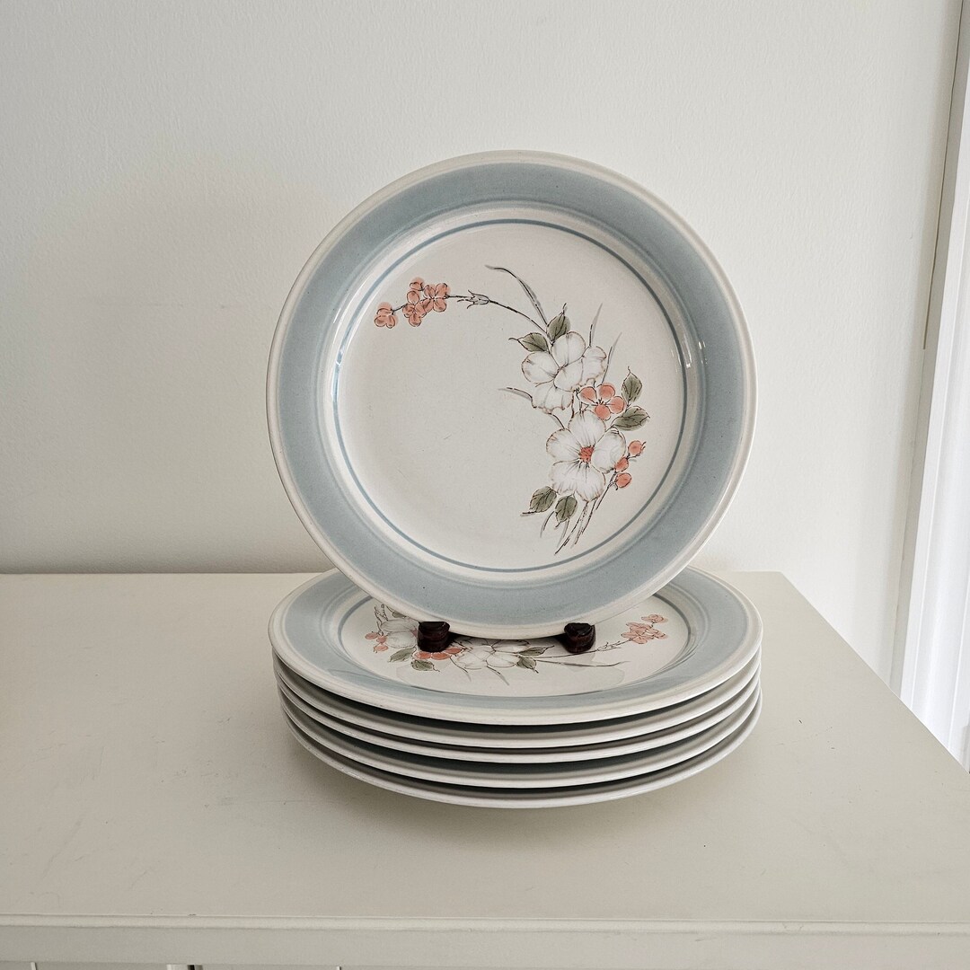 Impressions by Danielle Riverside Blue Mist SET OF 6 Dinner Plates ...