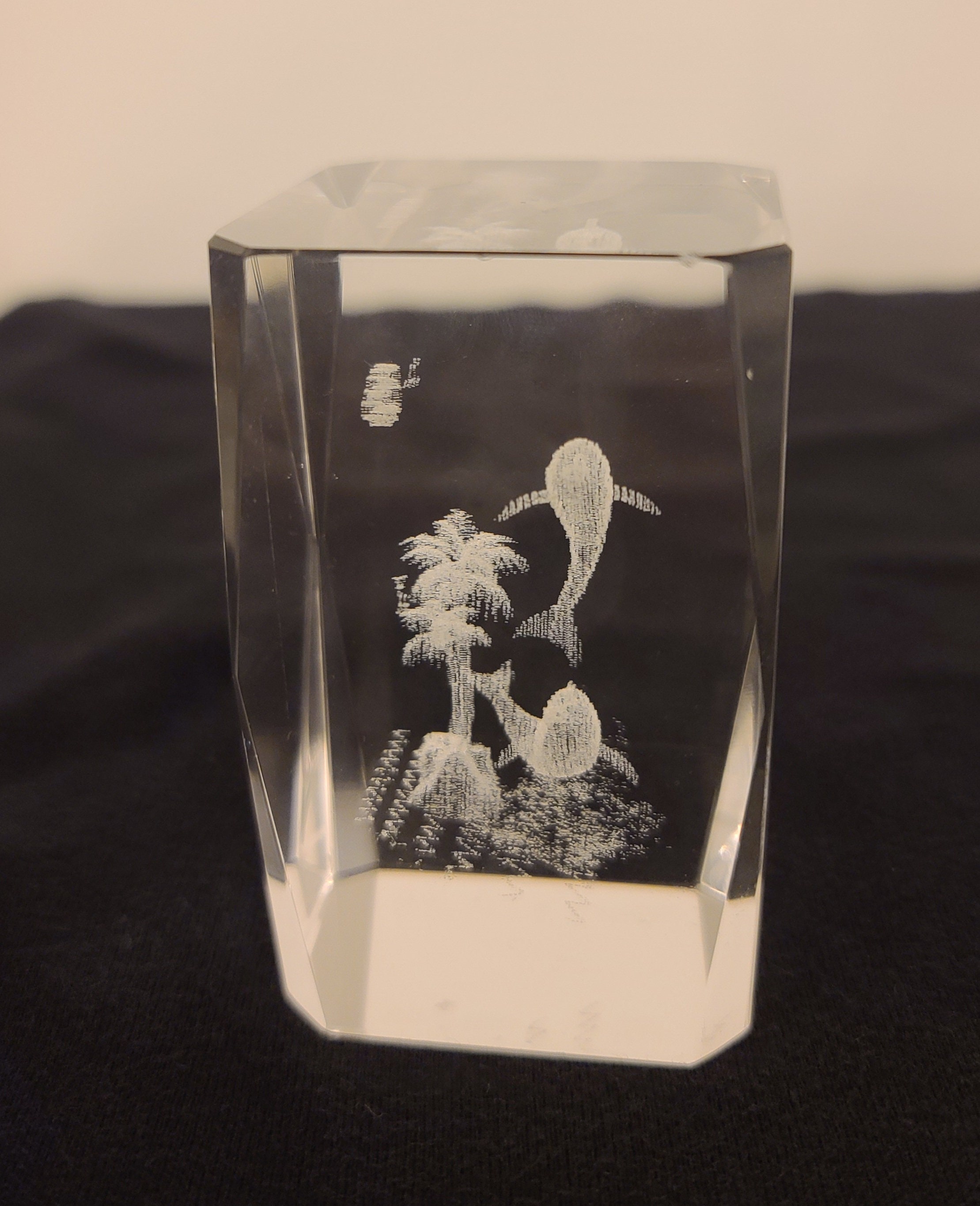3 Dimensional Laser Etched Clear Glass Dolphin Palm Tree Ocean Beach ...