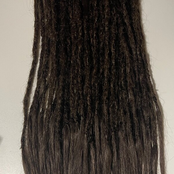Human Hair Dreadlocks - Etsy