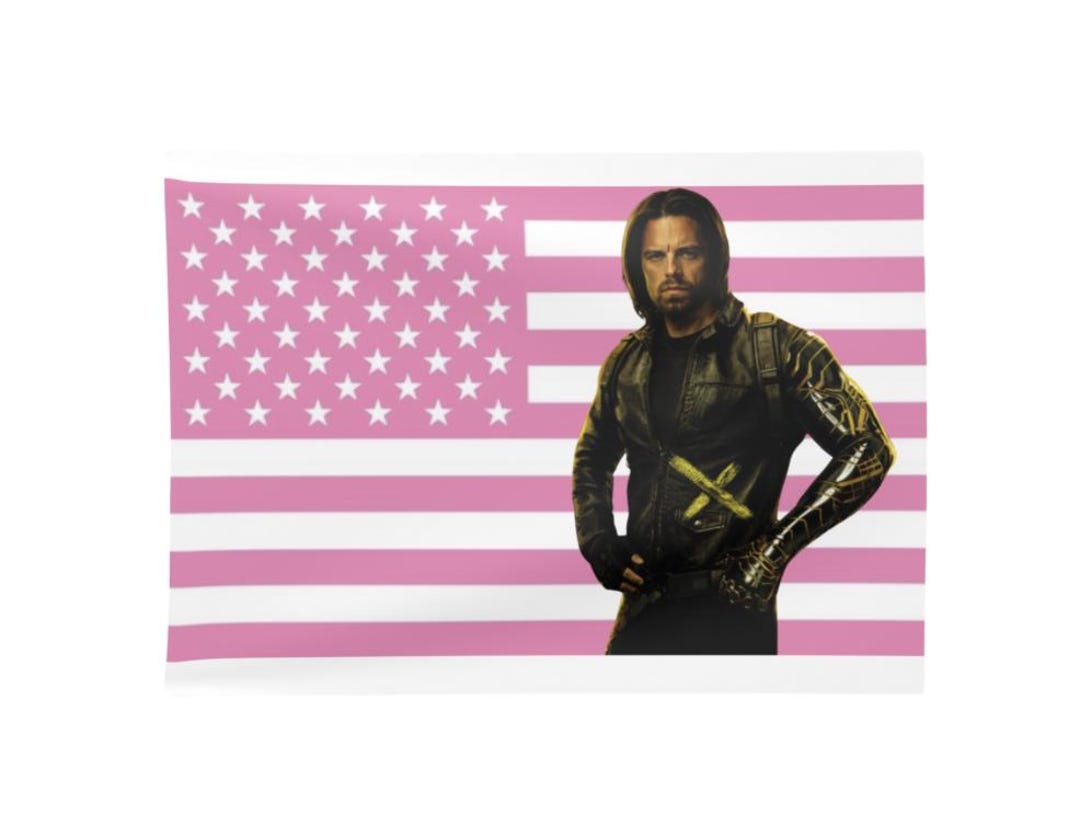 Bucky Barnes Pink Flag Tapestry | Bucky Wall Decor | Bucky Barnes Gift ...