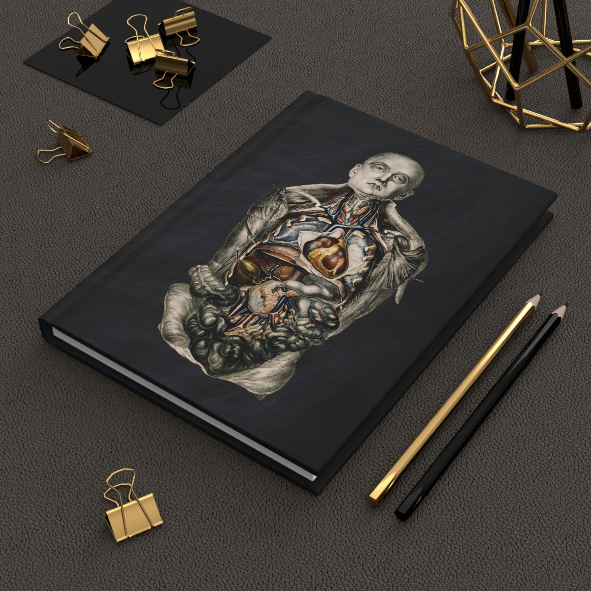 Anatomy Journal/ Anatomy Notebook/ Student Notebook/ Medical Journal ...