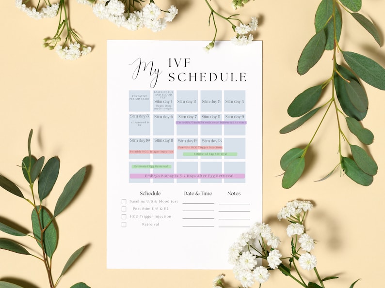 IVF Planner, IVF Calendar, Planner, IVF Gift, Fertility Planner, Ivf ...