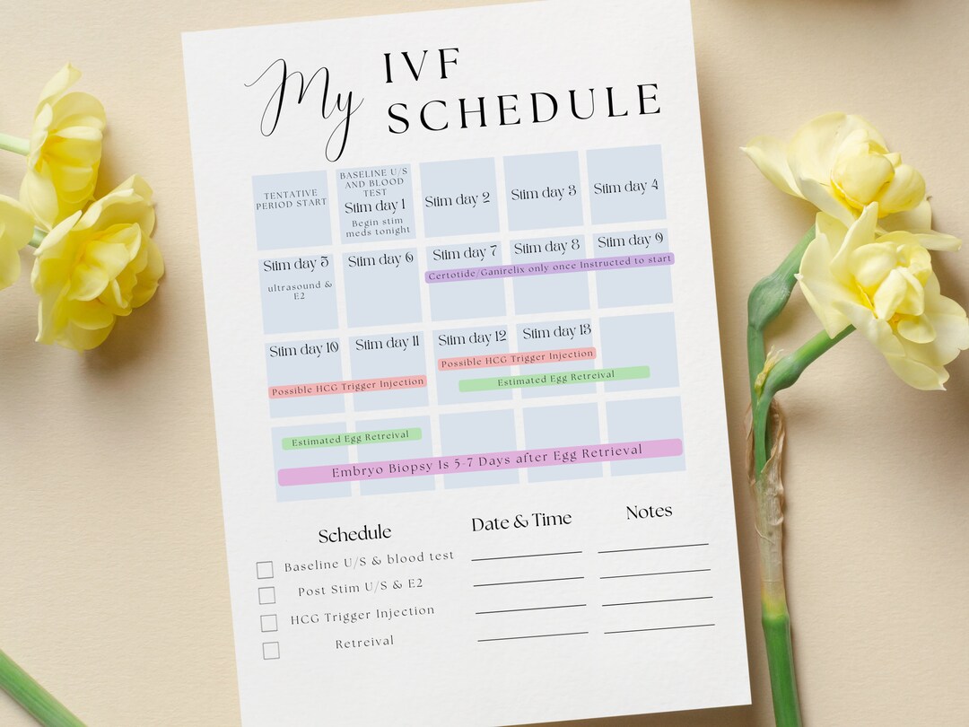 IVF Planner Bundle, IVF Calendar, Canva Planner, Digital Download, IVF ...