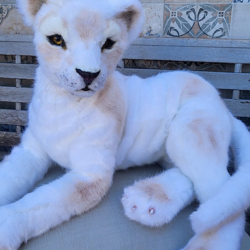 Lion Realistic Plush - Etsy