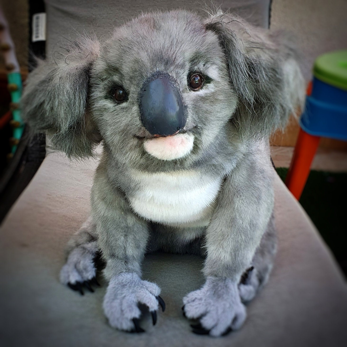 Koala Personalizado Blanco Gris Albino Bebé Realista Reborn Animal ...