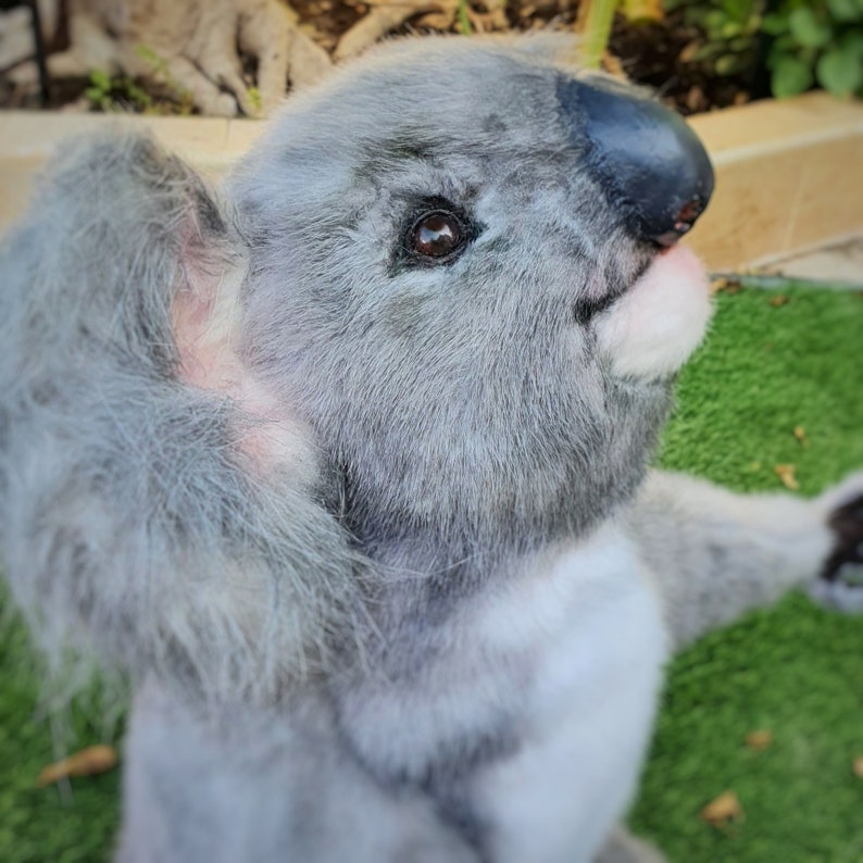 Koala Personalizado Blanco Gris Albino Bebé Realista Reborn Animal ...