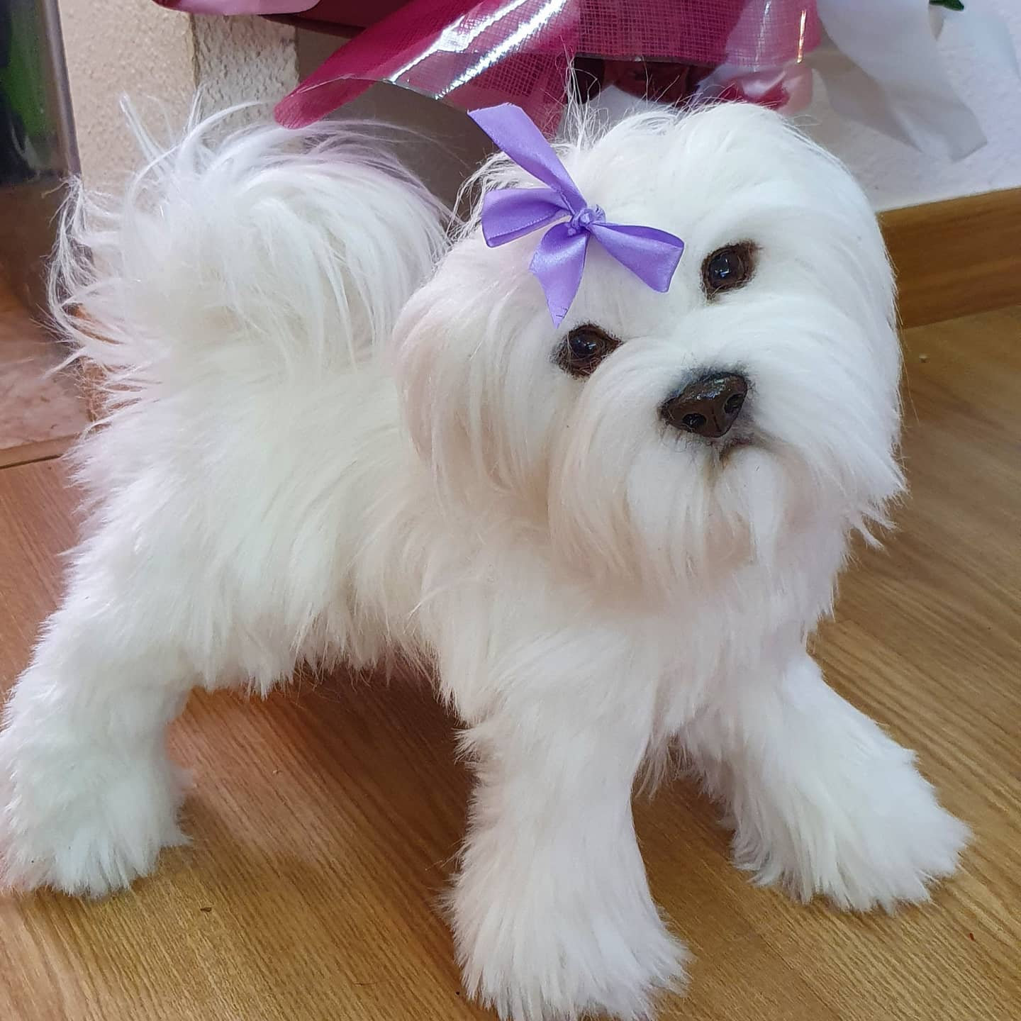 Realista Realista Realista Poseible Maltés Perro Réplica De Juguete De ...