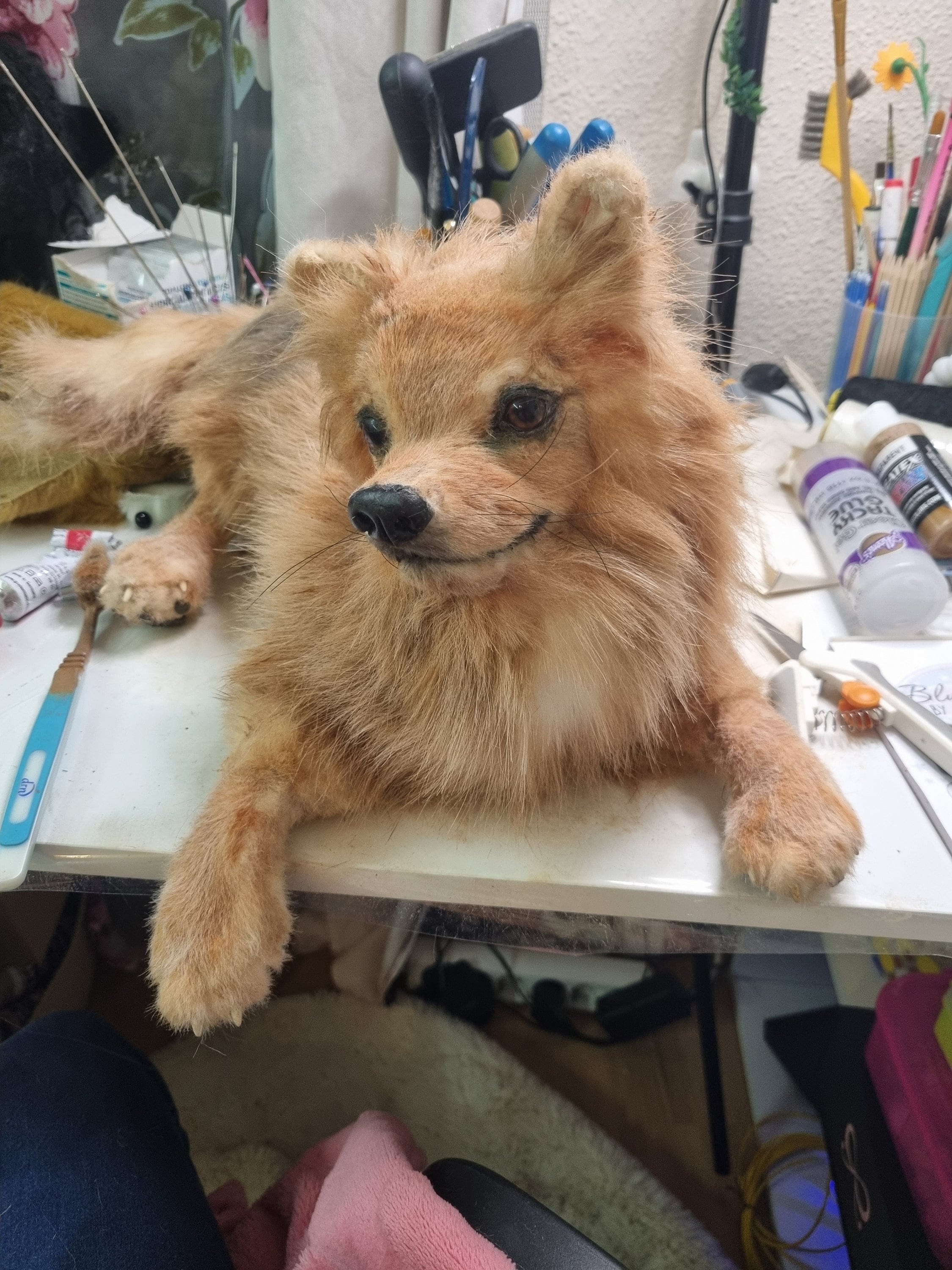 Custom Pomeranian Made by Order Pet Portrait Soft Sculpture Dog Replica ...
