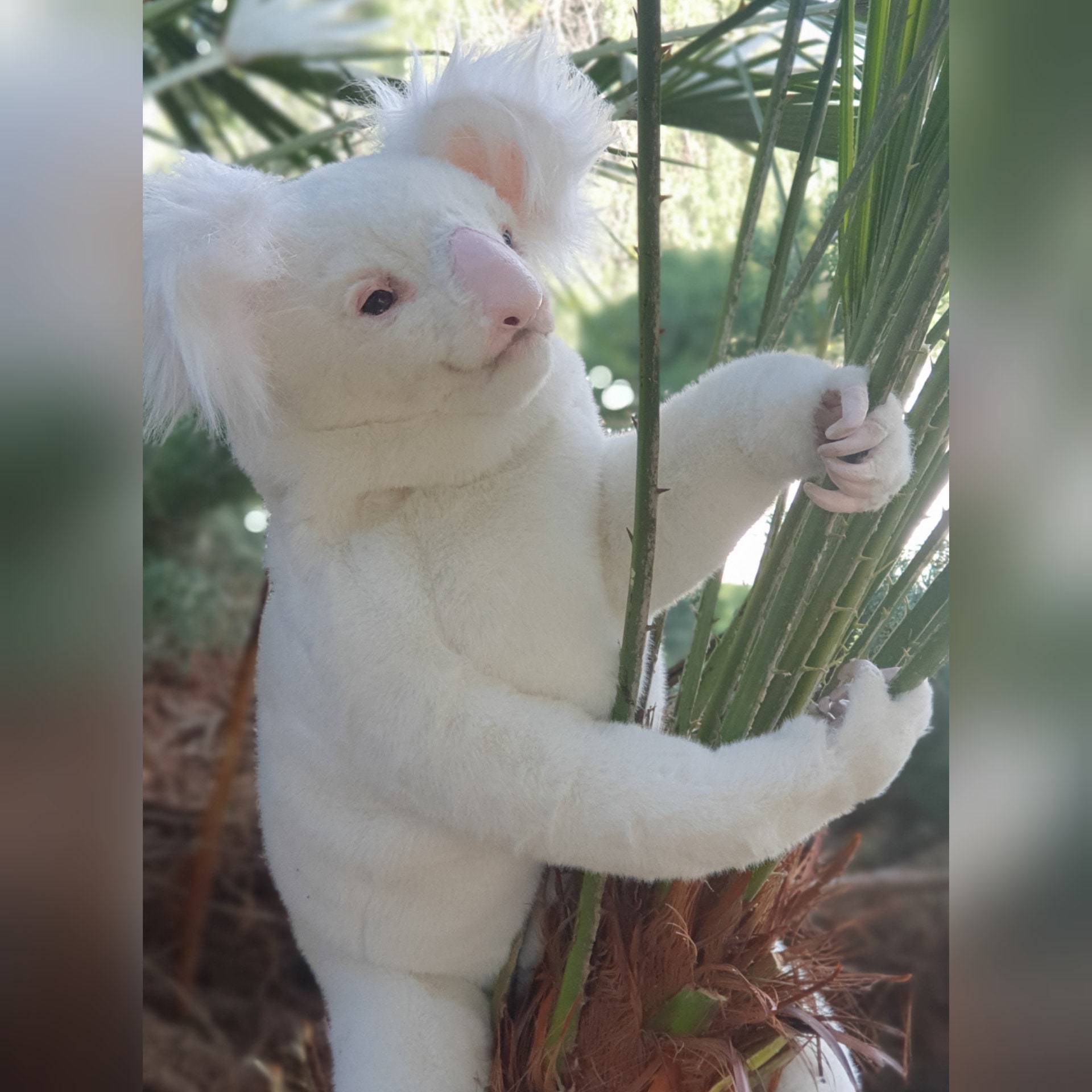 Koala Personalizado Blanco Gris Albino Bebé Realista Reborn Animal ...