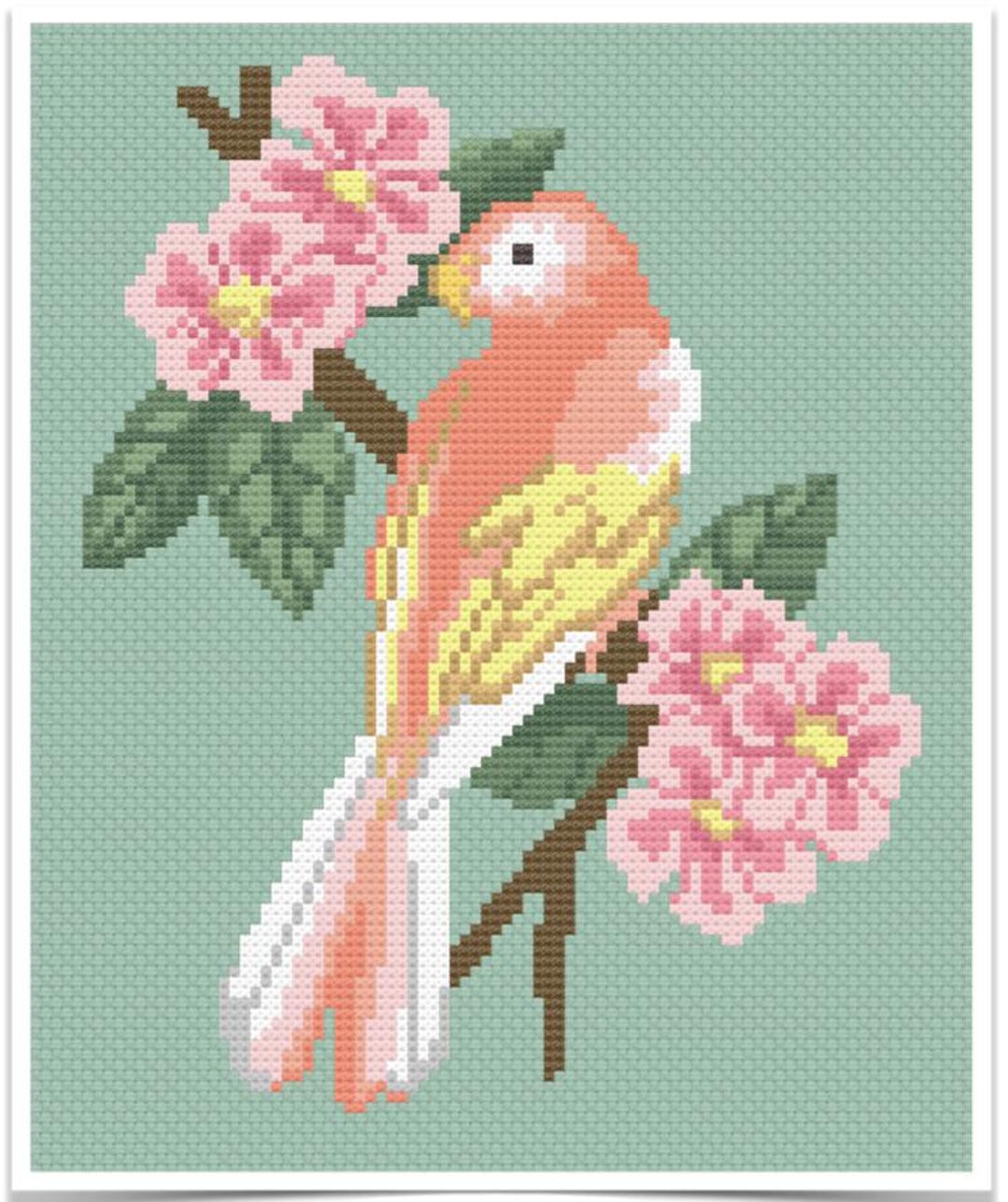 Bourke's Parakeet in a Pink Trumpet Tree PDF Cross Stitch Chart - Etsy
