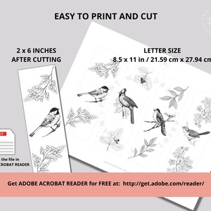 Cute Birds and Leaves Printable Coloring Bookmarks, Birds Colouring ...