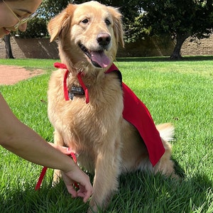 Dog Cape Superhero Cape for Dogs Capes for Dogs Super - Etsy