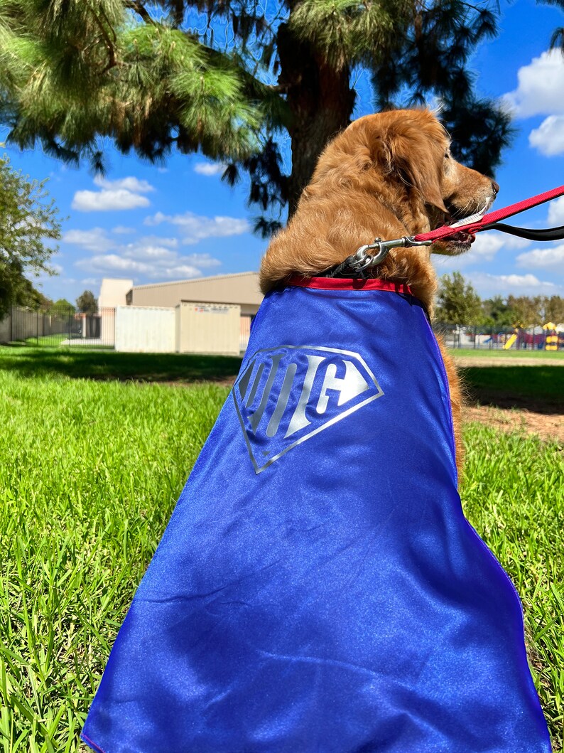 Dog Cape Superhero Cape for Dogs Capes for Dogs Super - Etsy