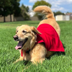 Dog Cape Superhero Cape for Dogs Capes for Dogs Super - Etsy