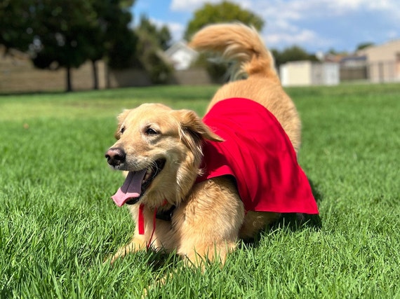 Dog Cape Superhero Cape for Dogs Capes for Dogs Super - Etsy