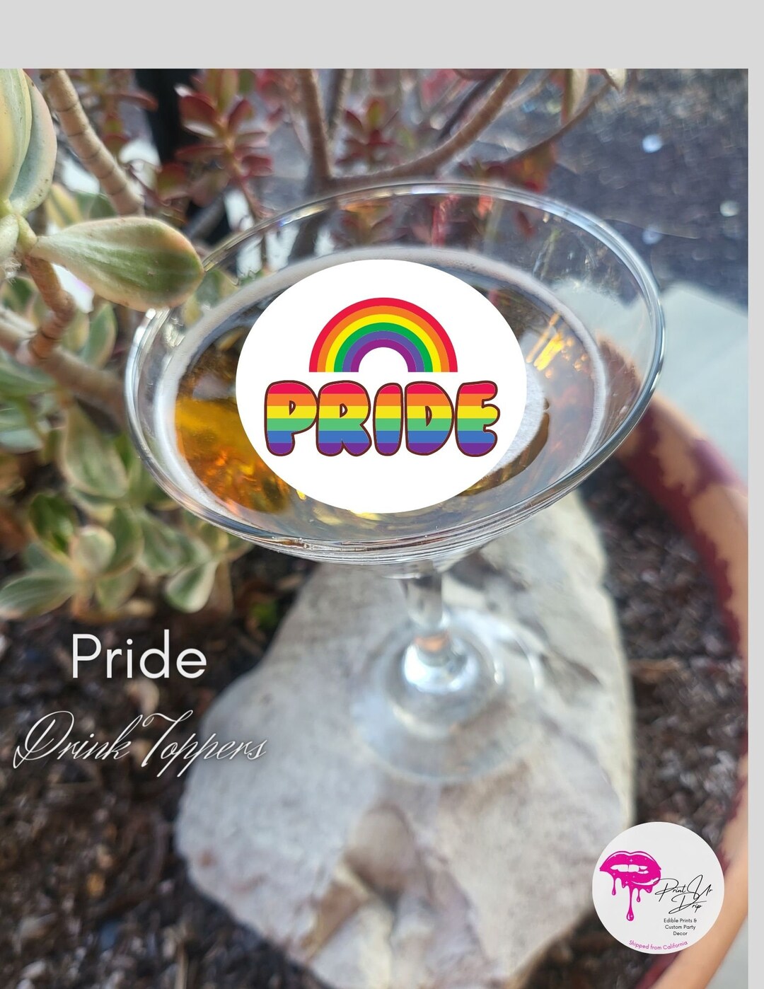 Pride Drink Toppers for Pride Month Wafer Paper Precut Edible Images - Etsy
