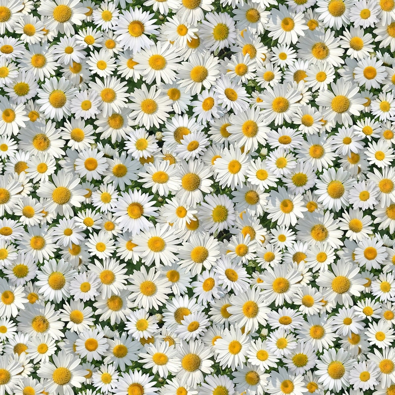 Daisy Flower Fabric Print - Etsy