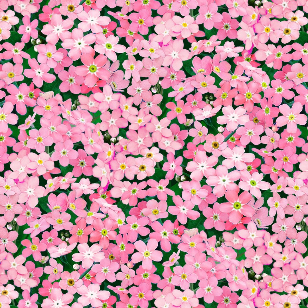 Floral Fabric Forget Me Nots in Pink From Elizabeth Studios 100% Cotton ...