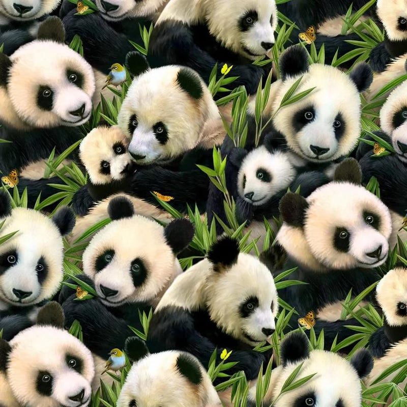 Panda Fabric - Etsy