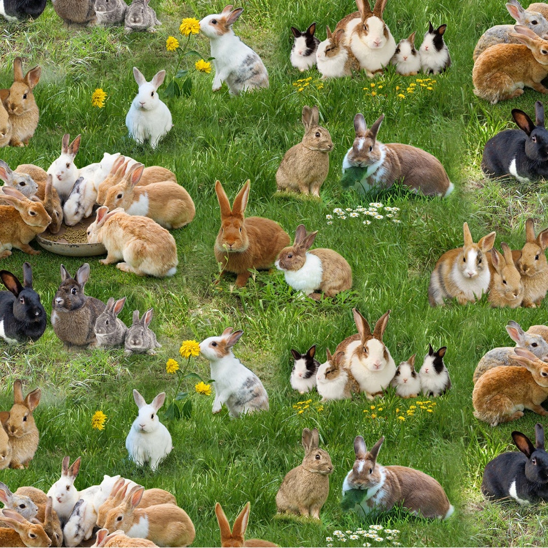 Farm Fabric Rabbits in Green From Elizabeth Studios 100% Cotton - Etsy