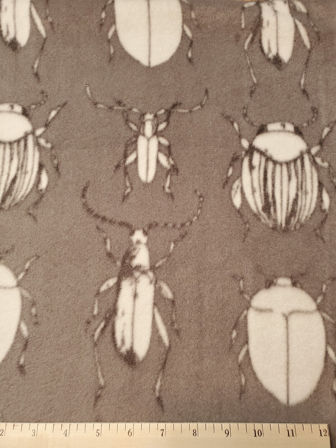 Insect Fabric Bugs in Gray Anti-pill PRE-CUT FLEECE - Etsy