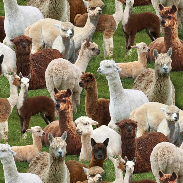 Fabric Print Alpaca - Etsy