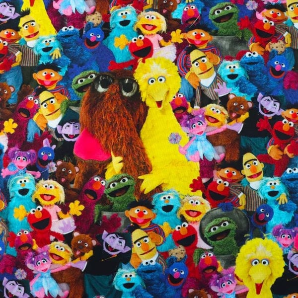 Sesame Street Fabric - Etsy