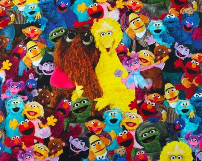 Fat Quarter Sesame Street Fabric Characters in Multi From Springs ...