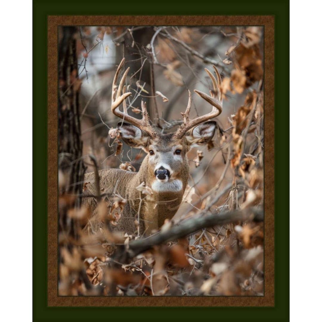 Wildlife Fabric Panel Hidden Buck in Brown 100% Cotton - Etsy