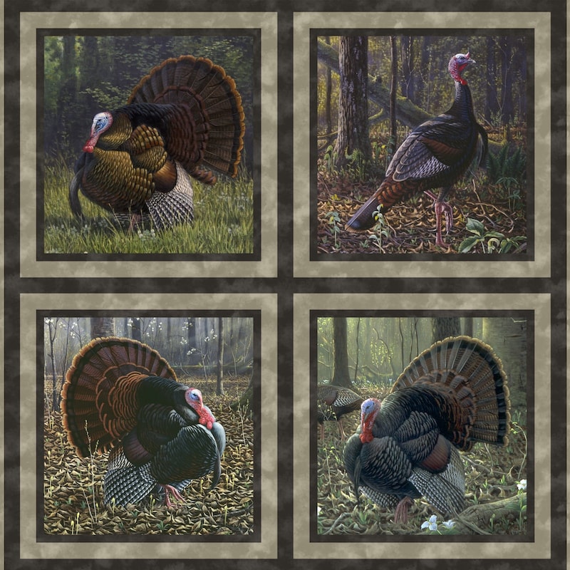 Turkey Quilt Pattern - Etsy
