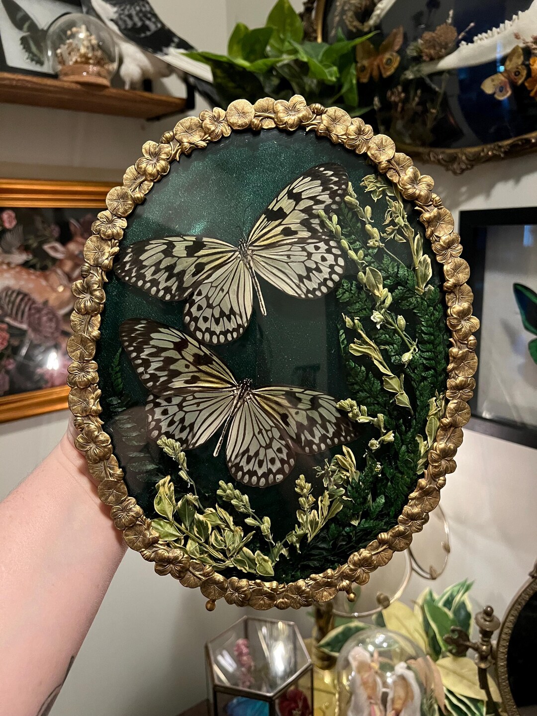 Vintage Bubble Glass Frame With Two Rice Paper Butterflies and Dried ...