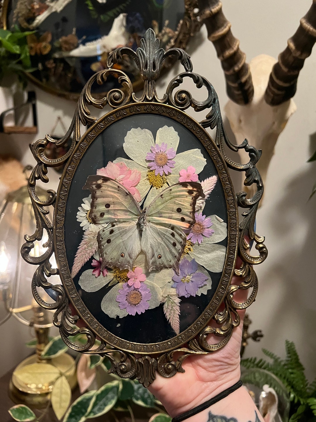 Vintage Bubble Glass Frame With Mother of Pearl Butterfly and Dried ...