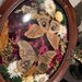 Vintage Bubble Glass Frame With Moths and Dried Flowers - Etsy