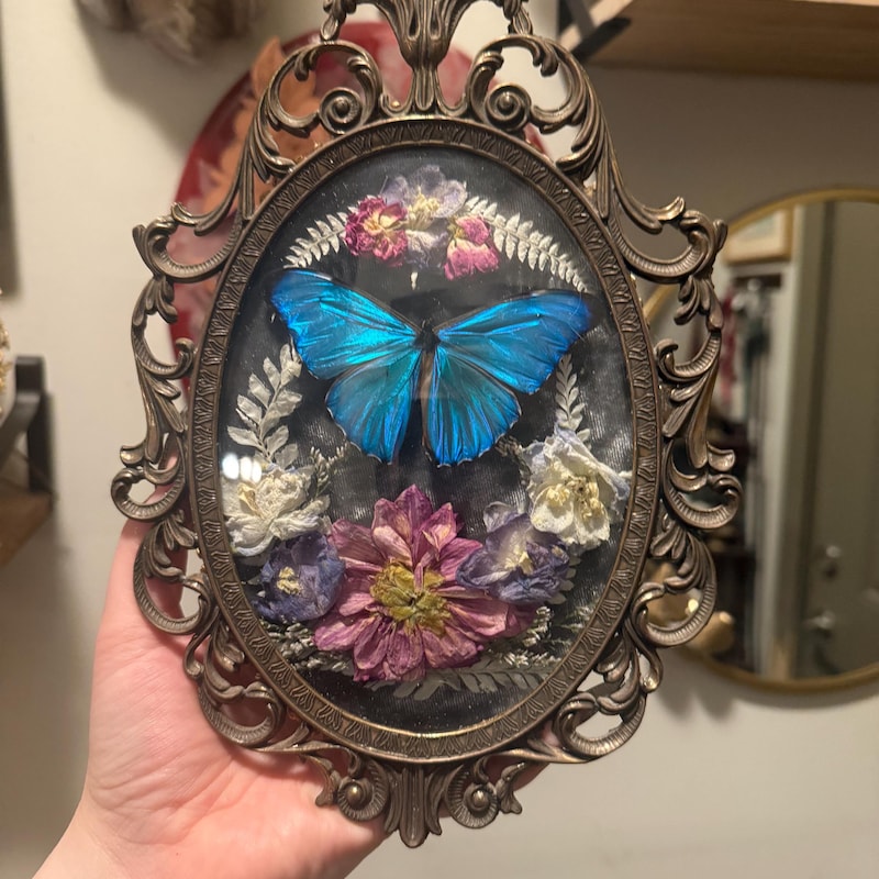 Oddities Bubble Frame - Etsy