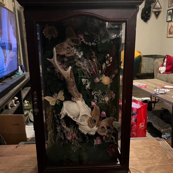 Curio Cabinet - Etsy