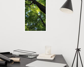 See Through Poster - Etsy