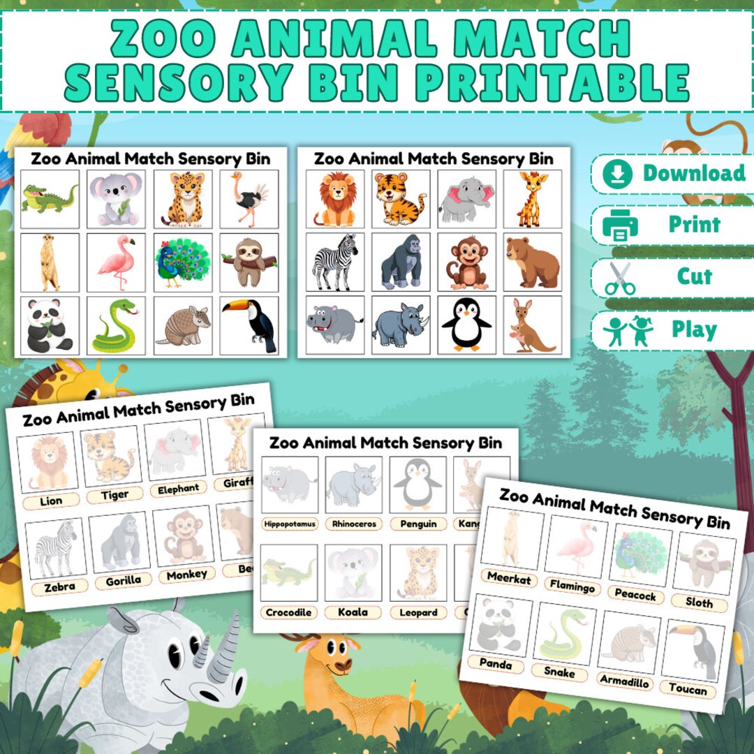 Zoo Animal Match for Sensory Bin Fun Activity for Toddlers Homeschool ...