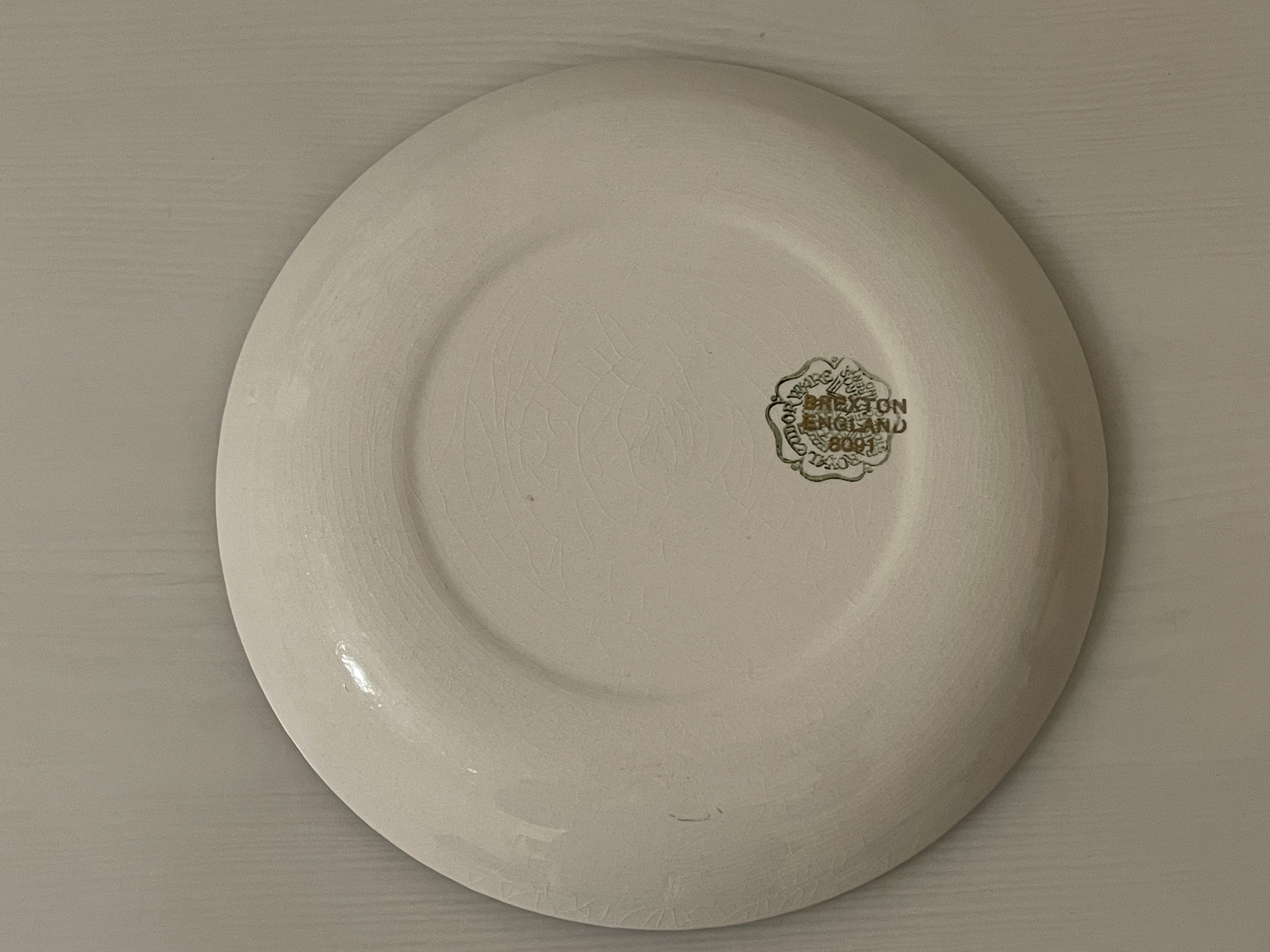 Vintage Brexton Picnic Tea Plates Replacement Green White - Etsy