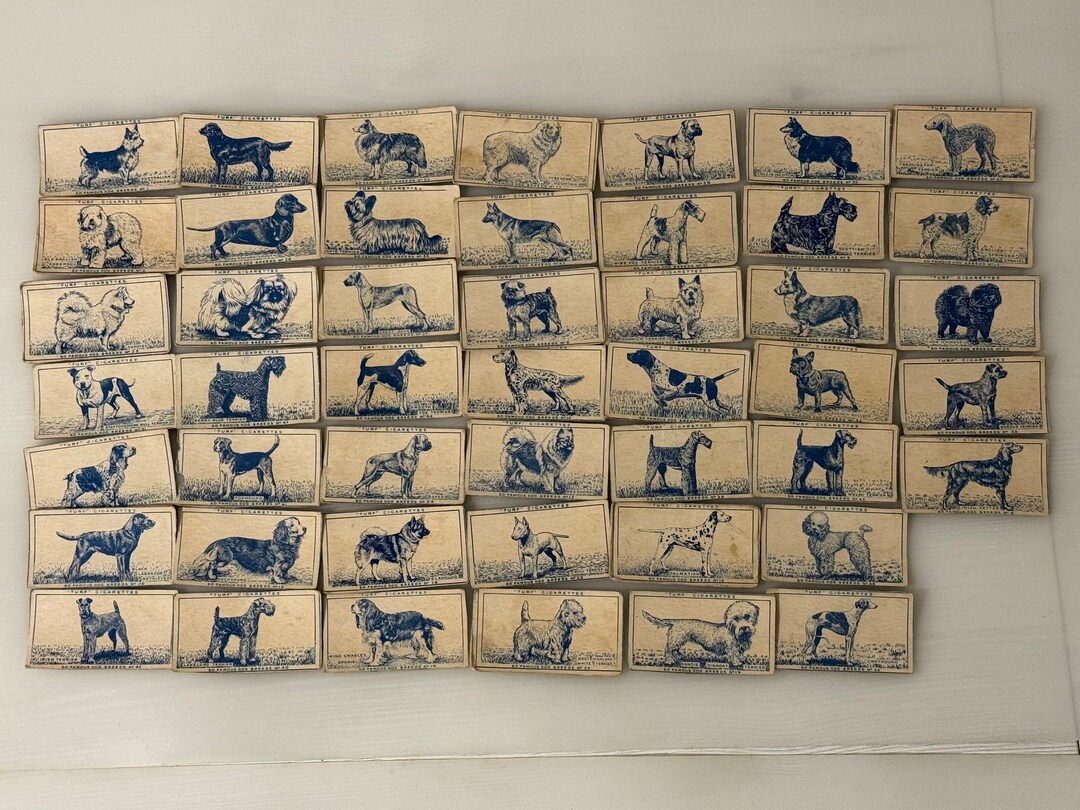 Vintage Turf Cigarettes Cards Famous Dog Breeds Collection Bundle of 47 ...