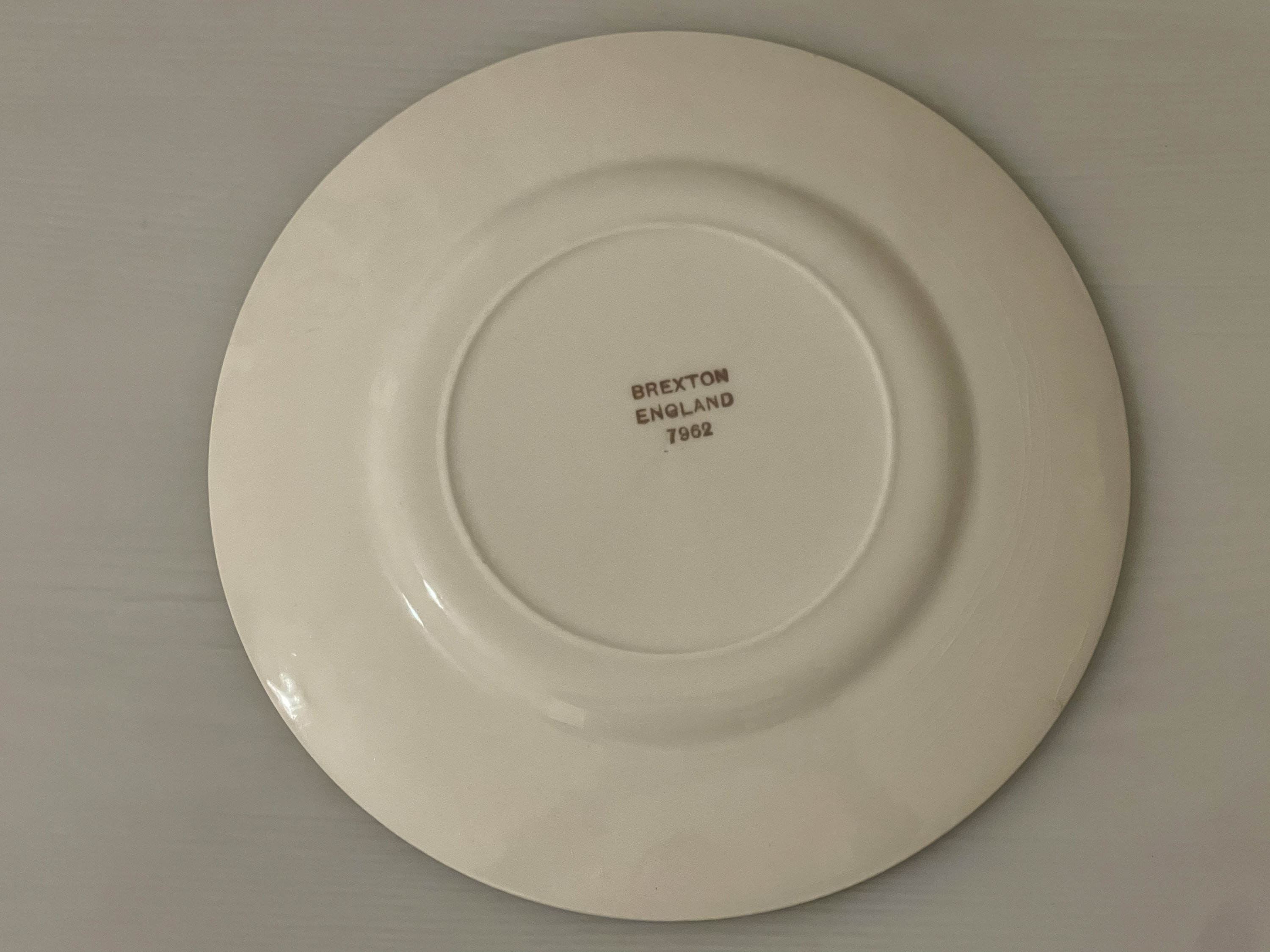 Vintage Brexton Picnic Tea Plates Replacement Green White - Etsy