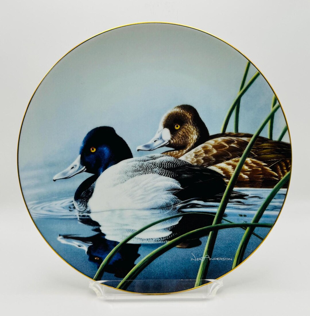 Nature-inspired Vintage Plate: the Lesser Scaup | Neal Anderson ...