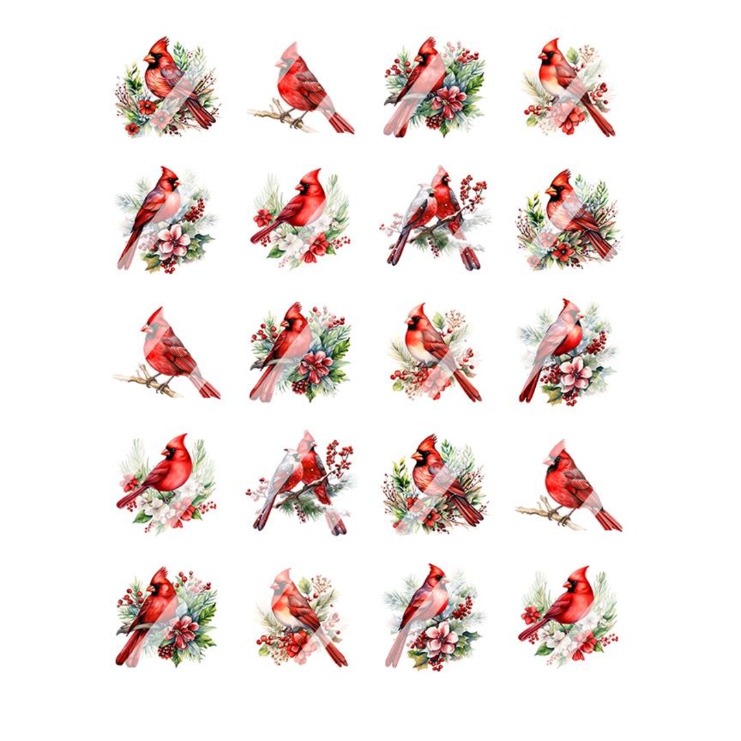 Winter Bird Cardinal Nail Art Decals - Waterslide Nail Decals - Etsy