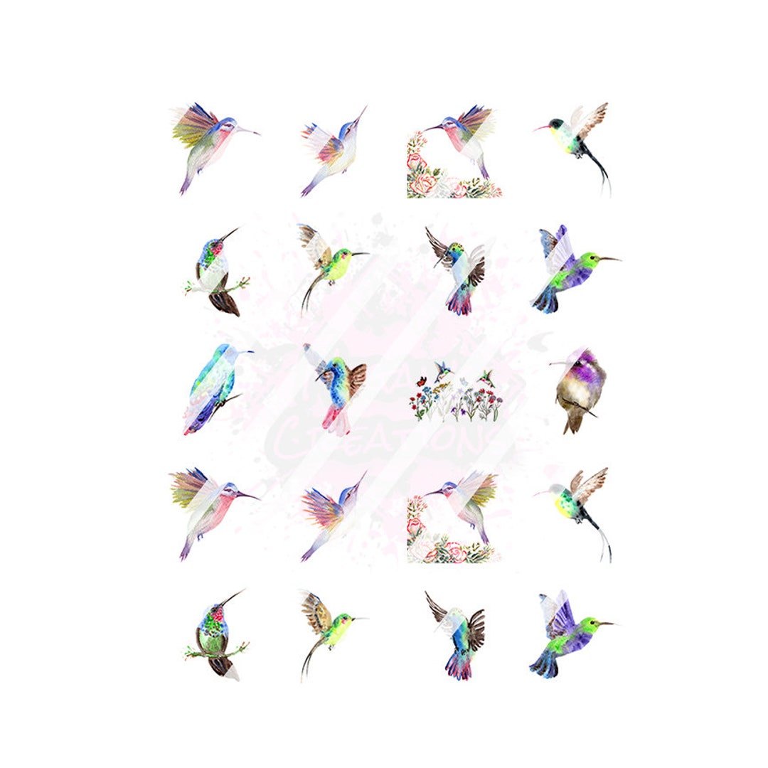 Hummingbird Nail Art Decals - Waterslide Nail Decals - Etsy