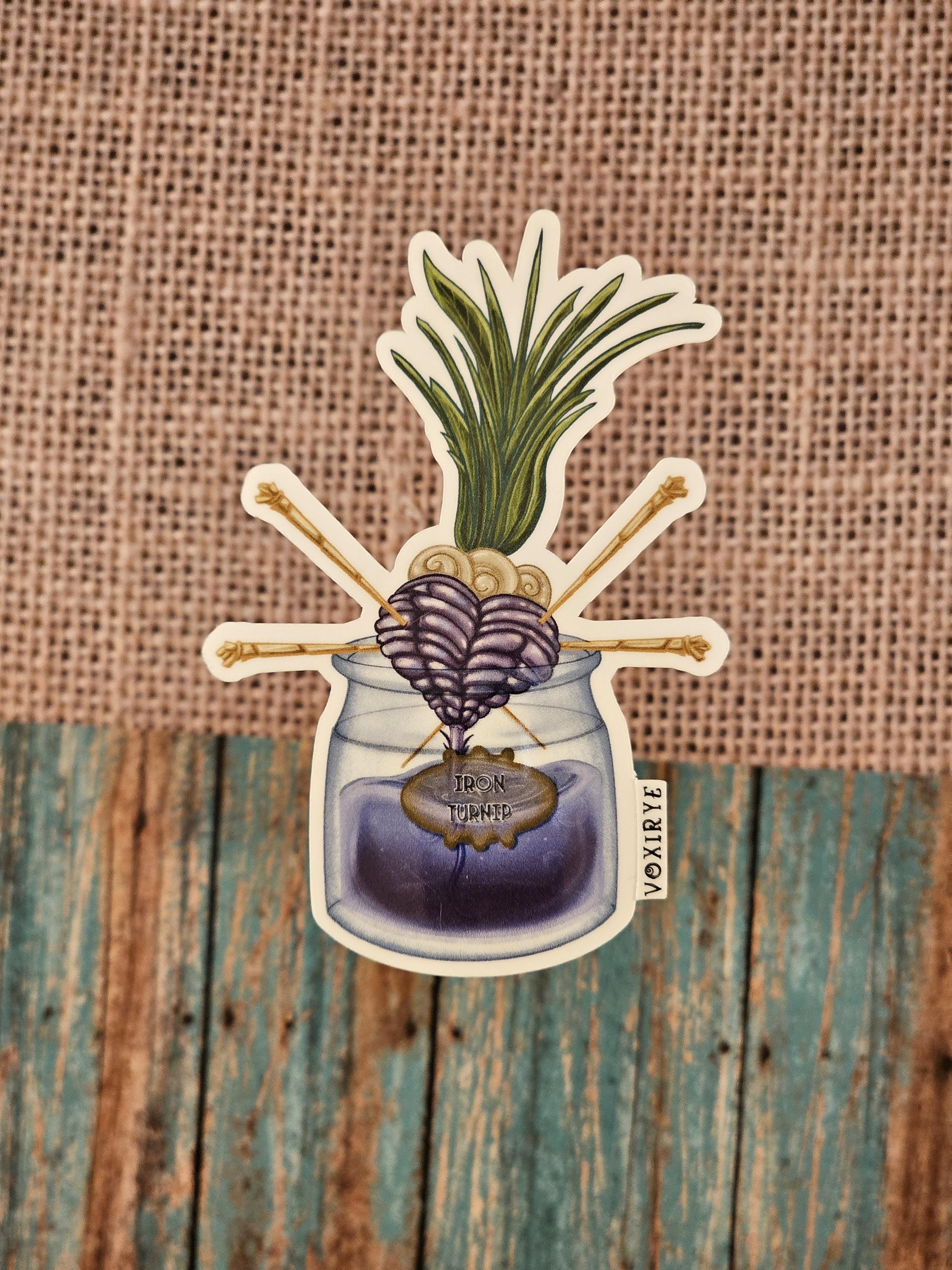 Iron Turnip Potion Dungeon and Dragon Gift for Friend Fantasy Gift for ...