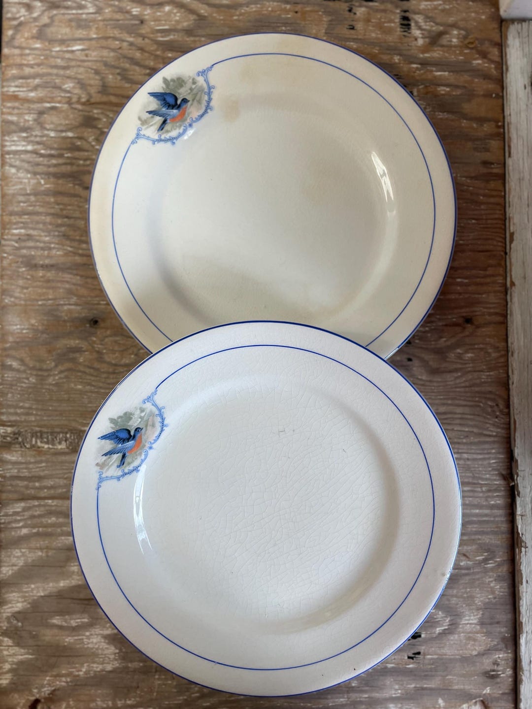 2 Vintage Bluebird Plates - Stamped WS George - Derwood - Set of 2 ...