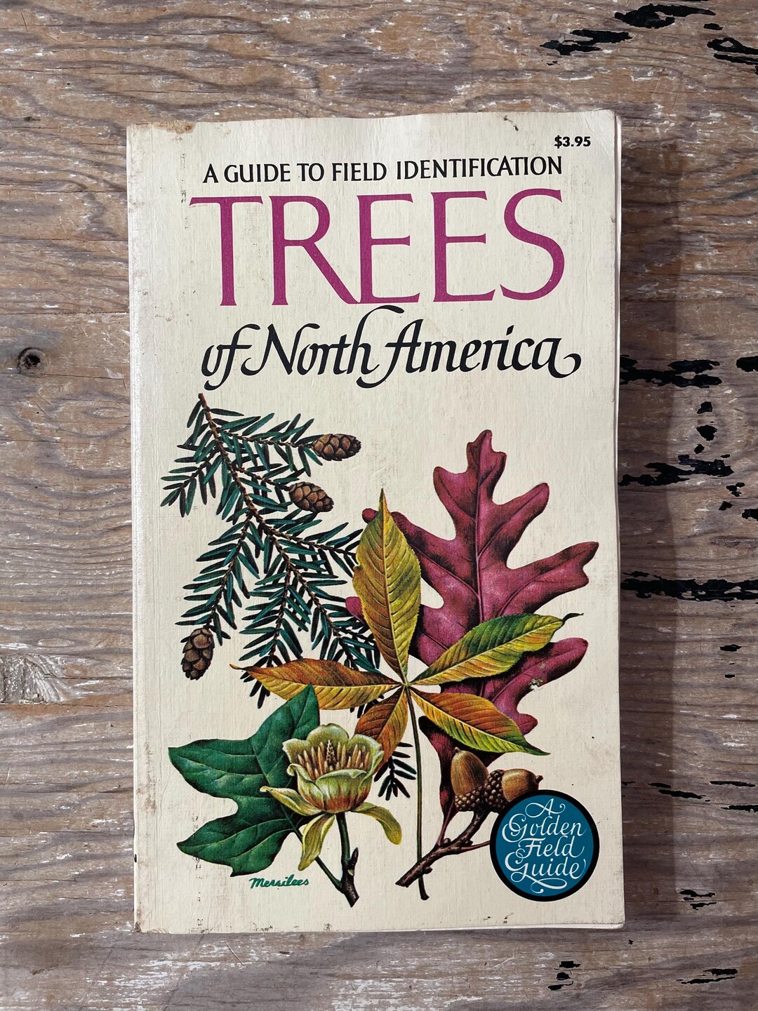 Vintage Tree Guide - Golden Field Guide Book - Colorful Illustrations ...