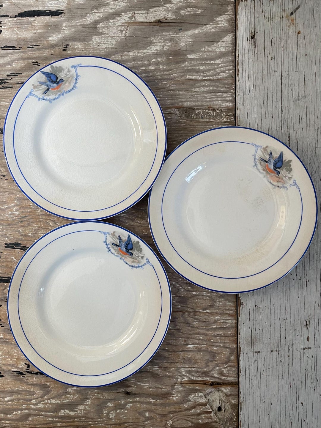 3 Vintage Bluebird Plates Set of 3 Salad Plates Blue Bird Pattern W.S ...