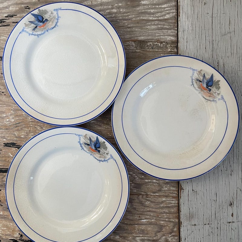 Vintage Bluebird - Etsy