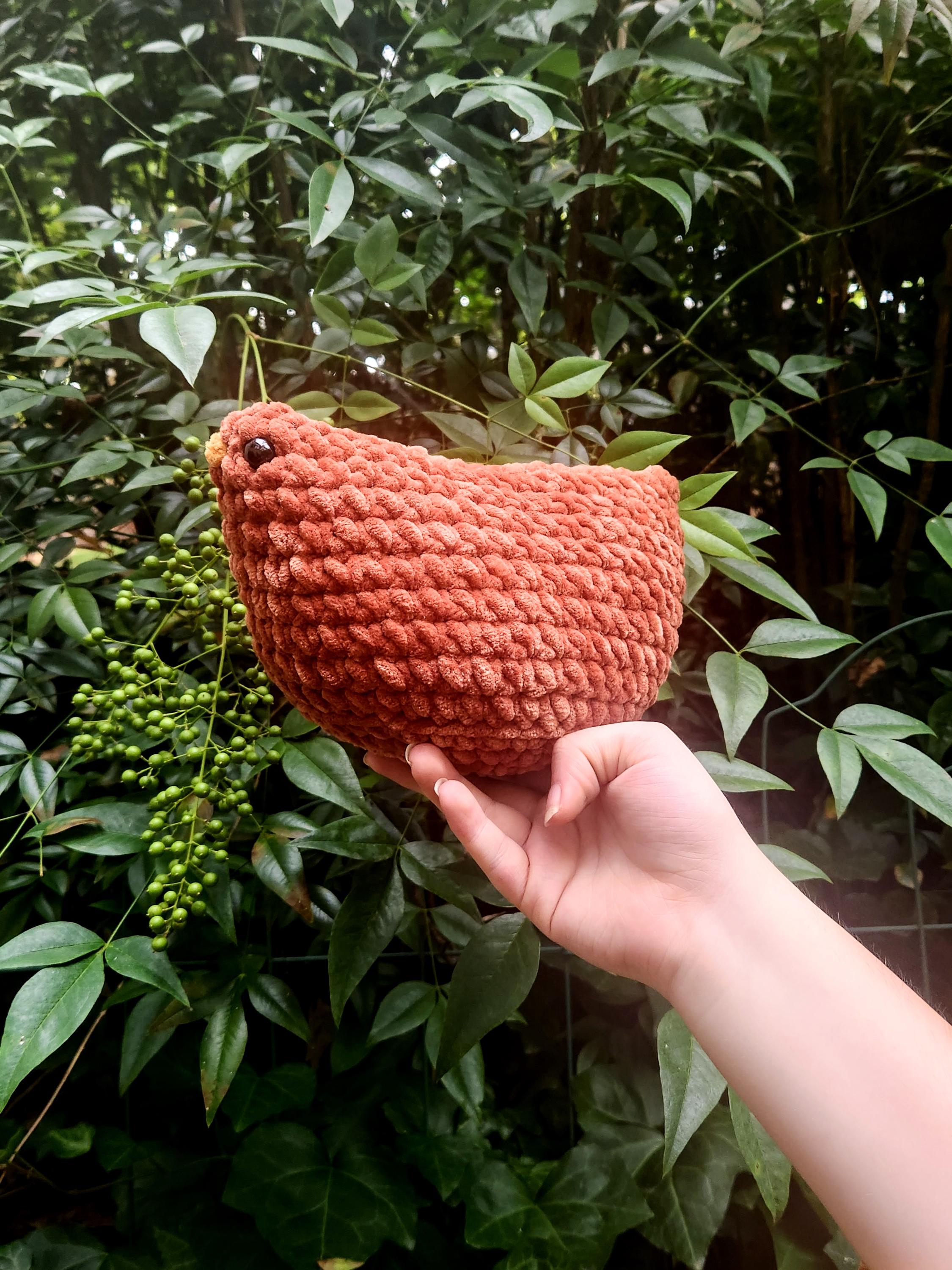 Feathers- A Cutesy Crochet Chicken - Etsy